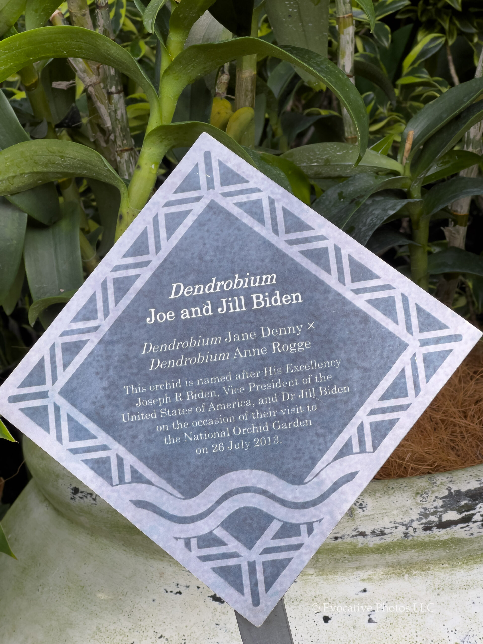 Two Days in Singapore – Joe Benning Photography